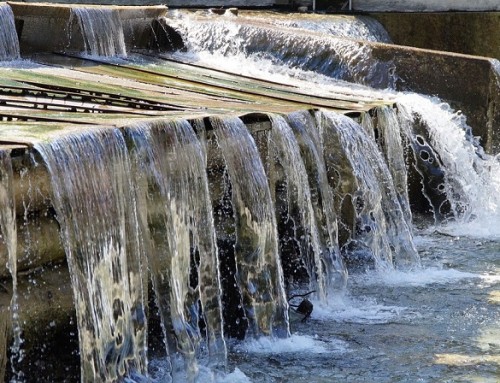 How to Waste Less Water